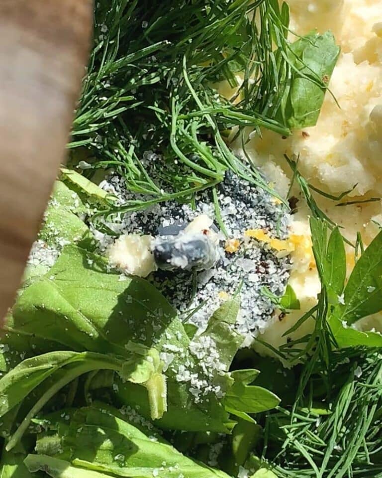 Herb Whipped Ricotta | Lindsey Eats